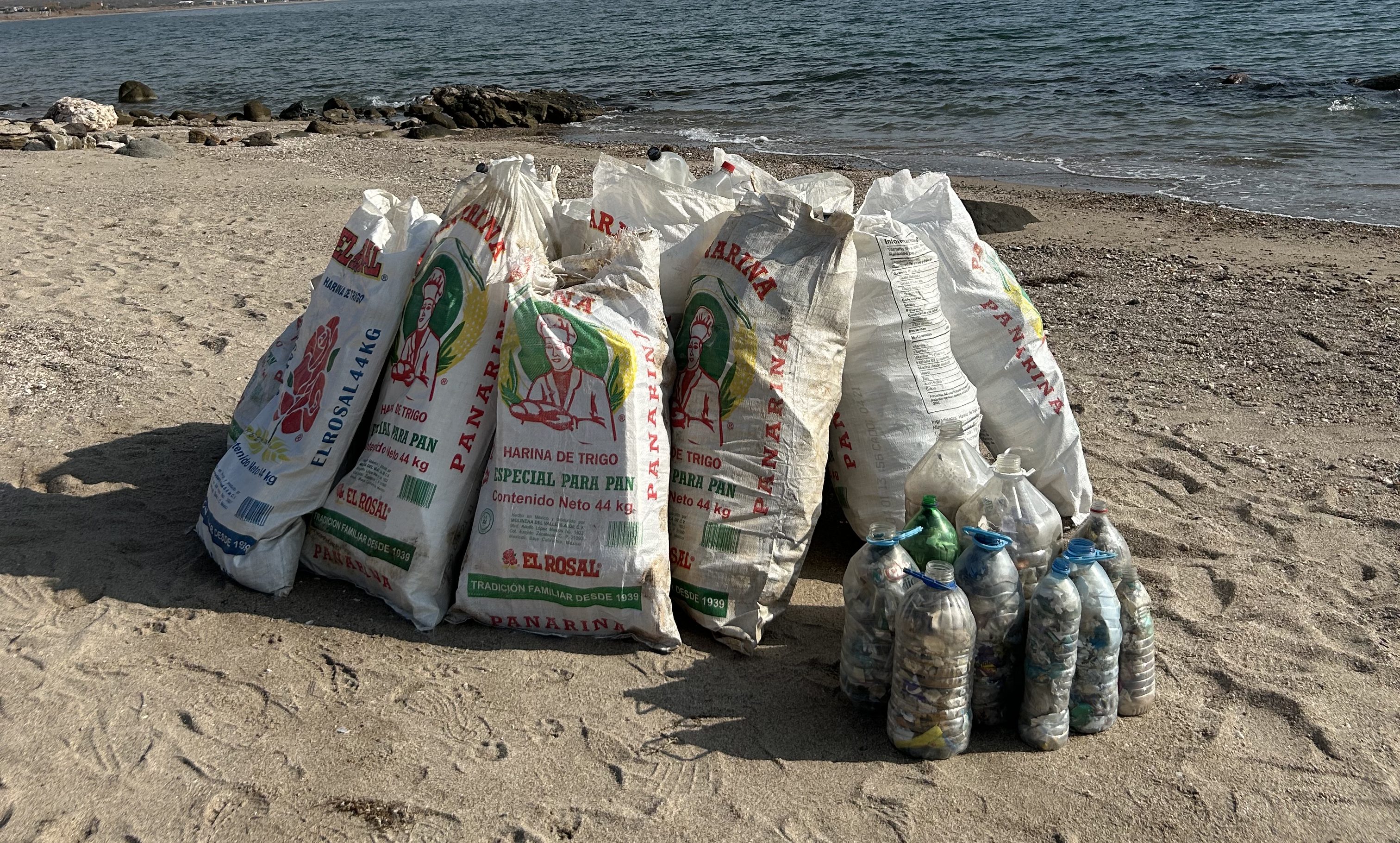 15 Plastic Concepts Worth Learning – Pelagic Impact